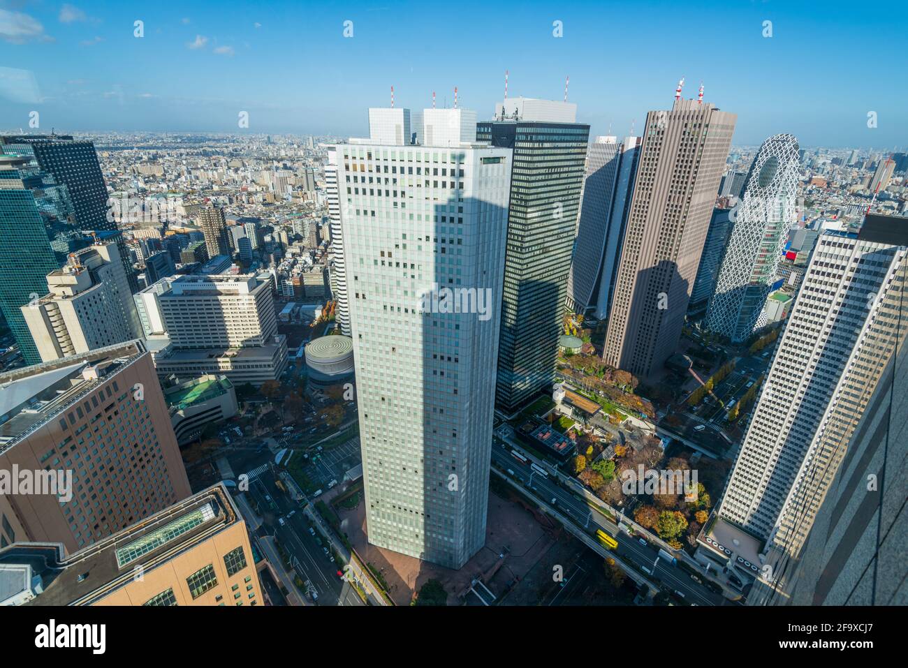 Tokyo, Japan - December 11, 2015: Aerial view of downtown Tokyo city ...