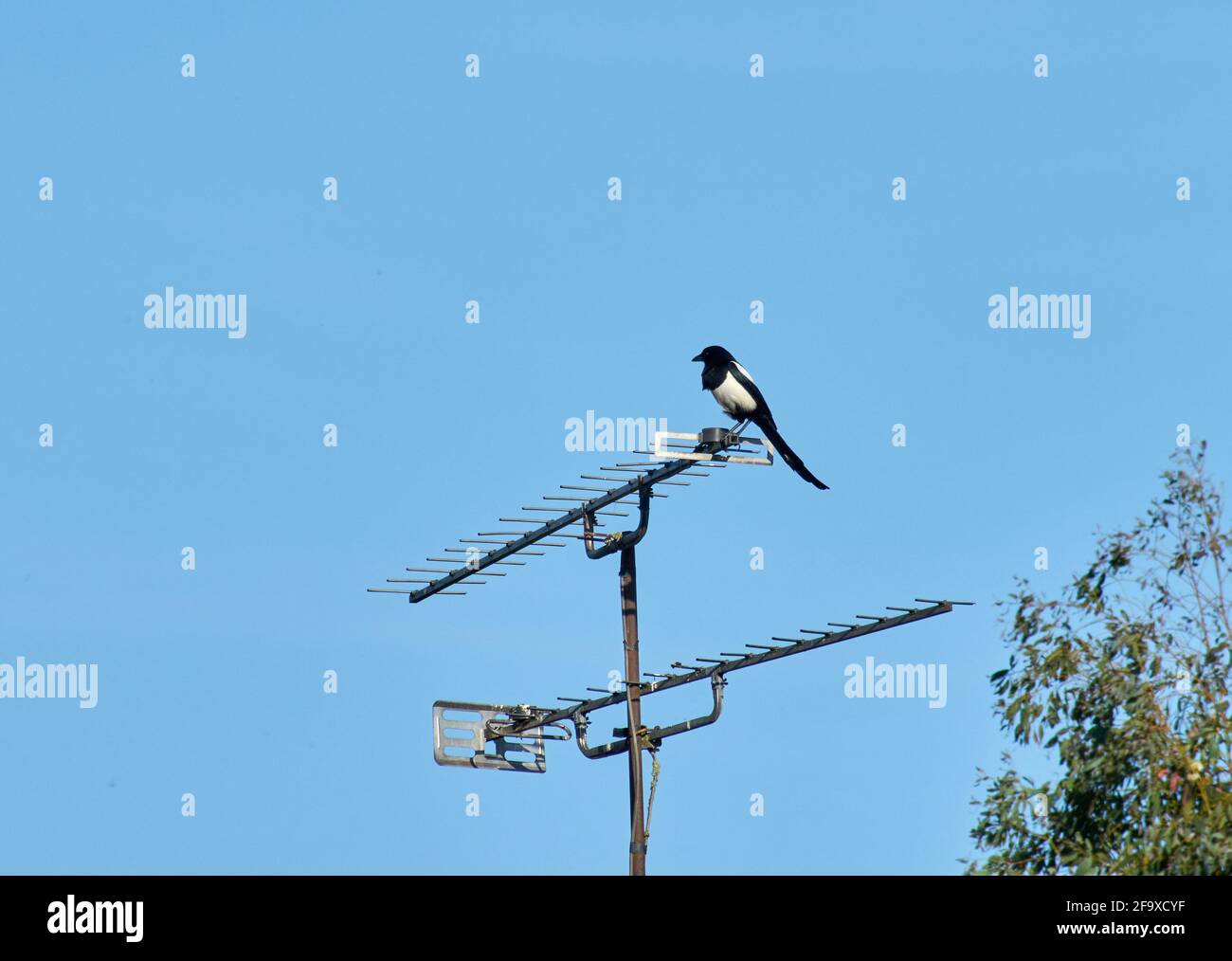 Communication pole hi-res stock photography and images - Alamy