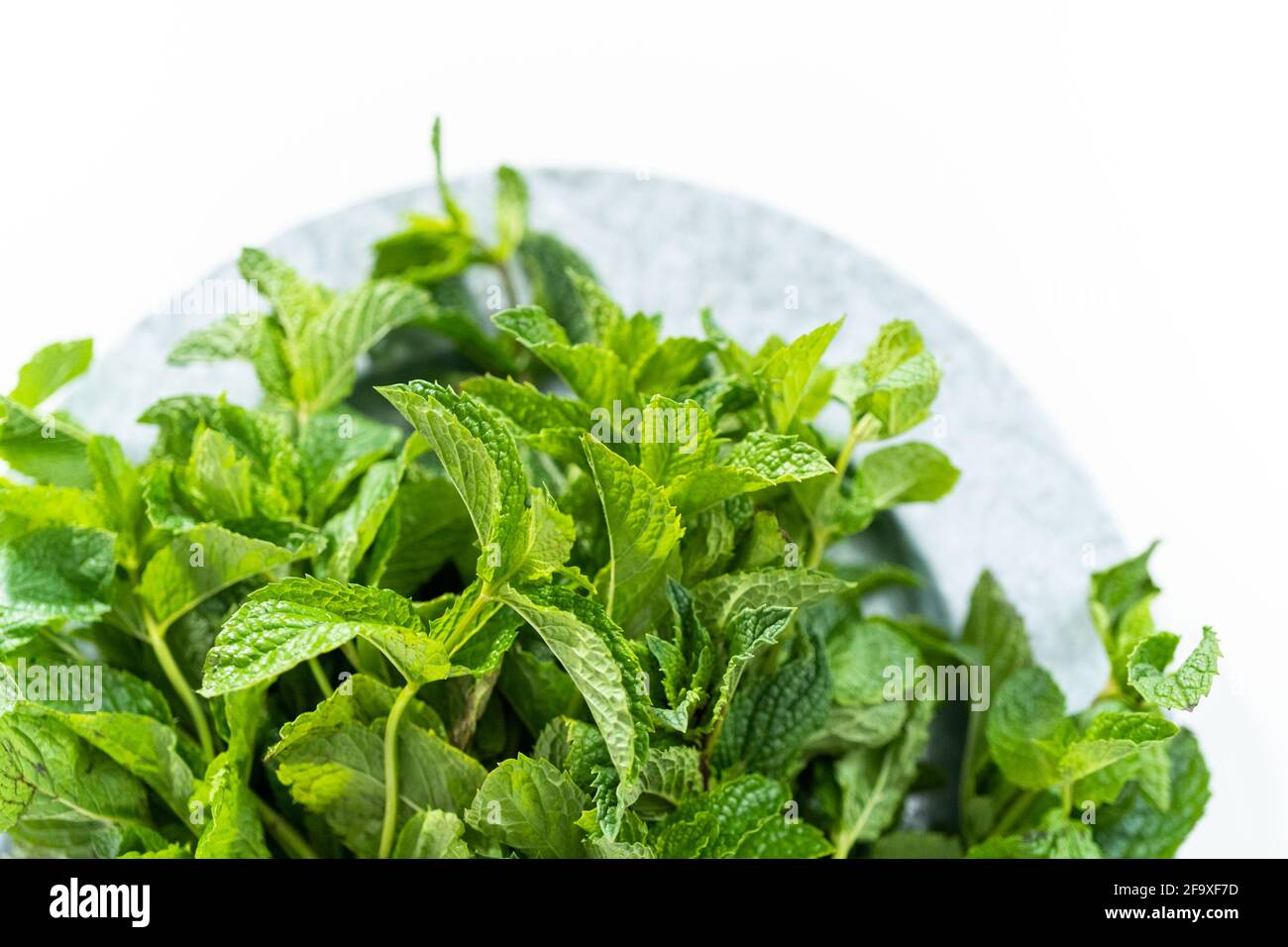 Fresh mint from the organic garden on a white background Stock Photo ...