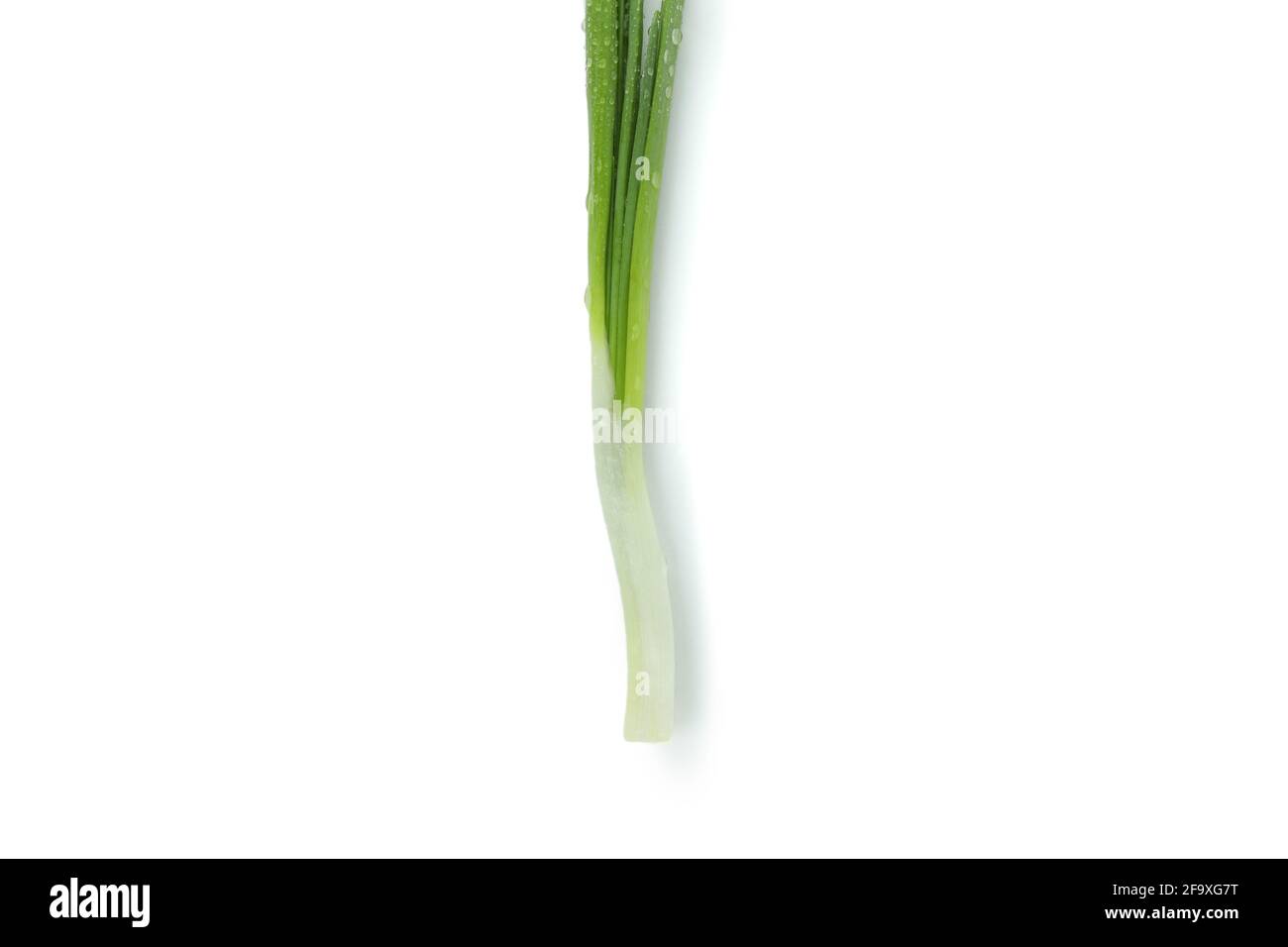 Fresh green onion isolated on white background Stock Photo - Alamy