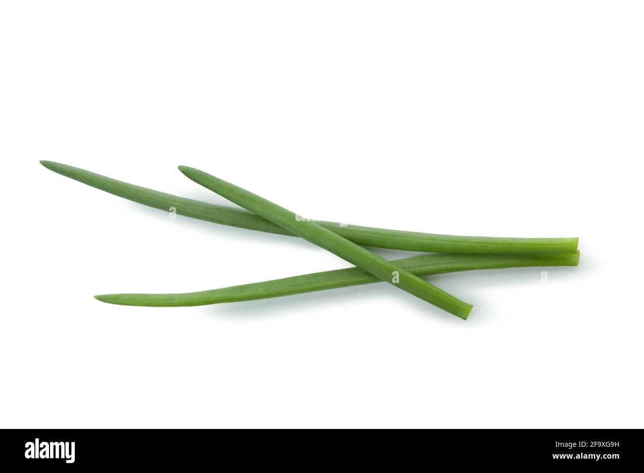 Fresh green onion isolated on white background Stock Photo - Alamy