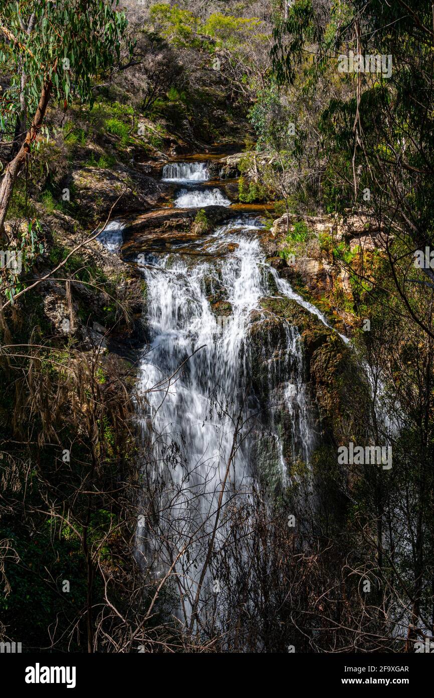 Boundary Falls, Gibraltar Range National park, New England Tablelands ...