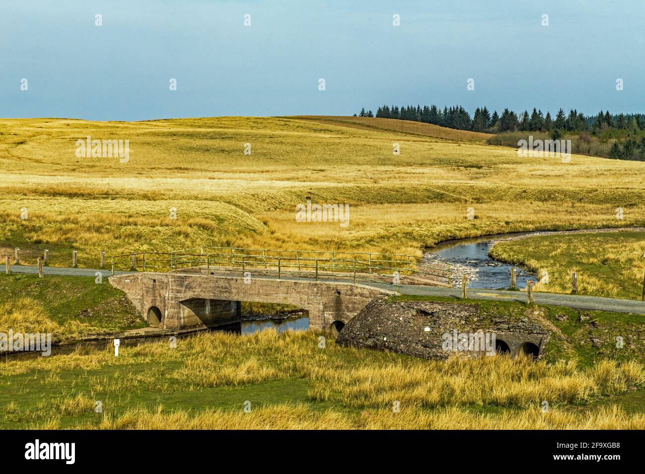 Powys carmarthenshire border hi-res stock photography and images - Alamy