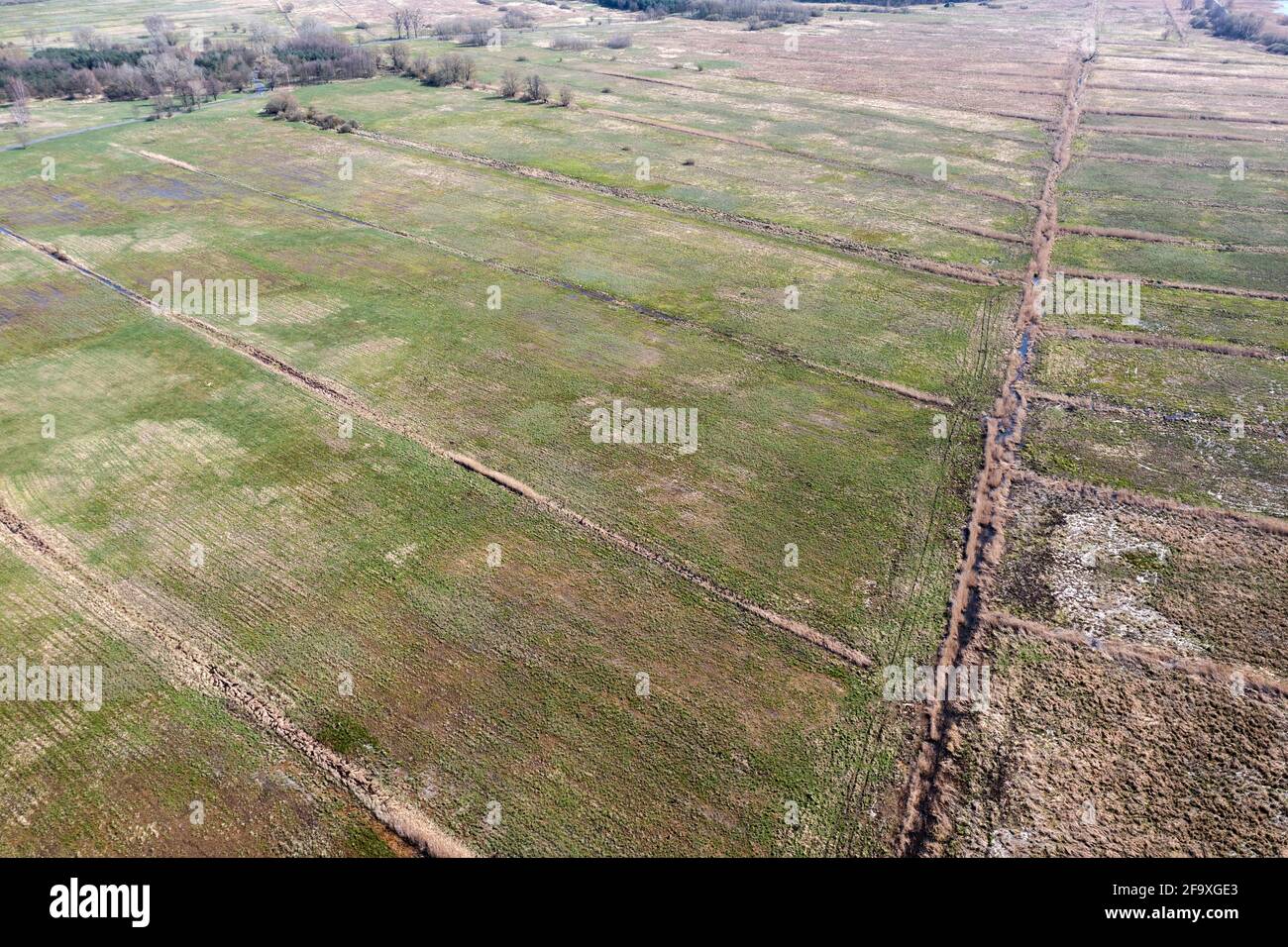 Field seen from the air, photo from a drone. Rural landscape Stock ...