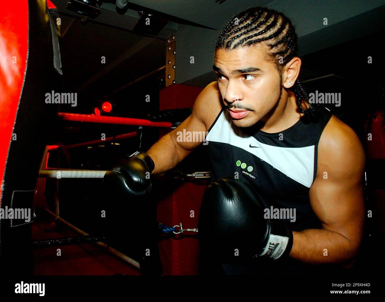 David hay hi-res stock photography and images - Alamy