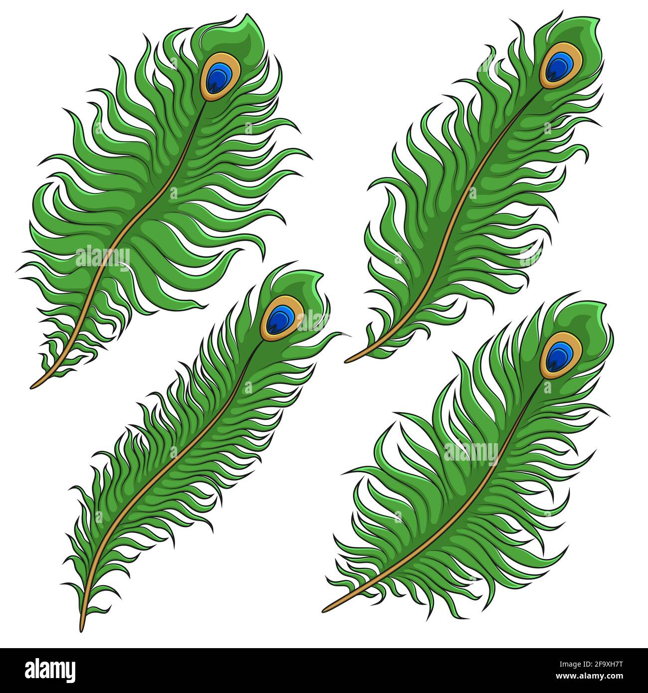 Peacock Feather Clip Art Vector