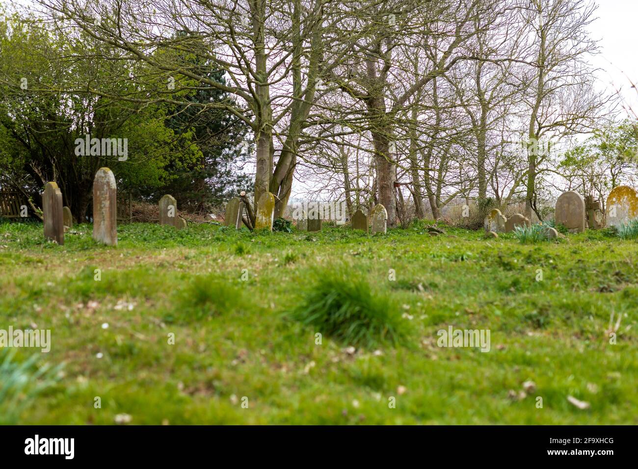 A rural graveyard with a mixture of different shaped grave stones with ...