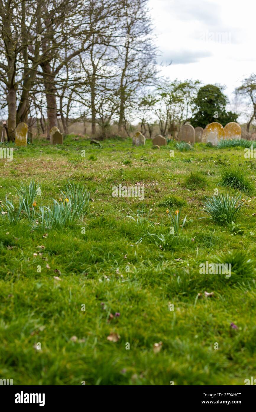 A rural graveyard with a mixture of different shaped grave stones with ...