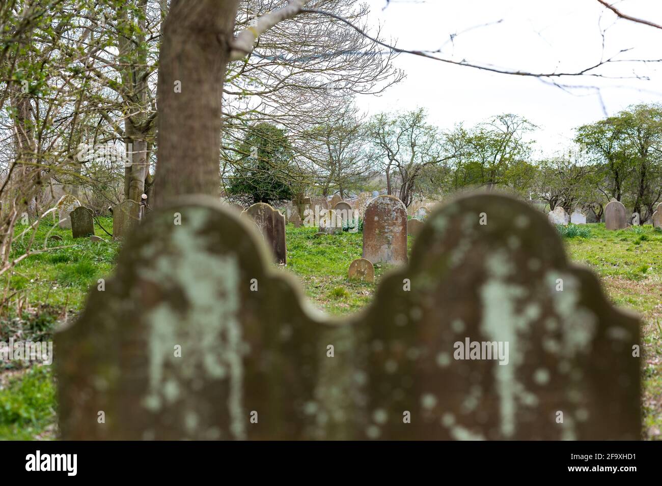 Blank grave stone hi-res stock photography and images - Alamy