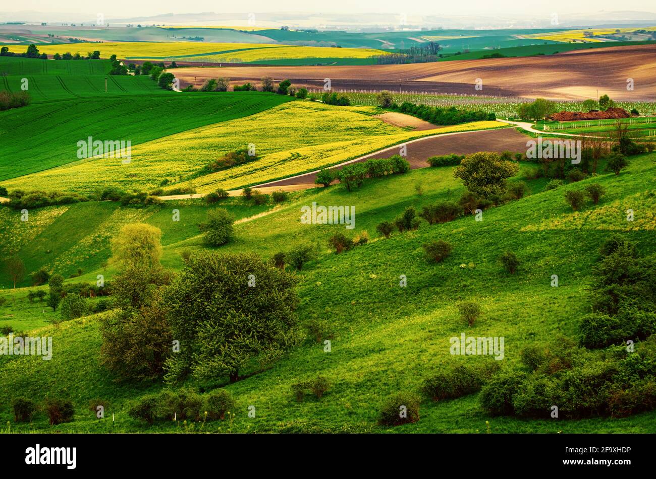 Rural spring landscape Stock Photo - Alamy