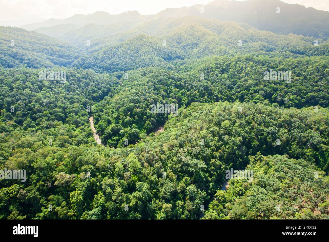 Aerial view of a river in a Teak forest near Thailand and Myanmar ...