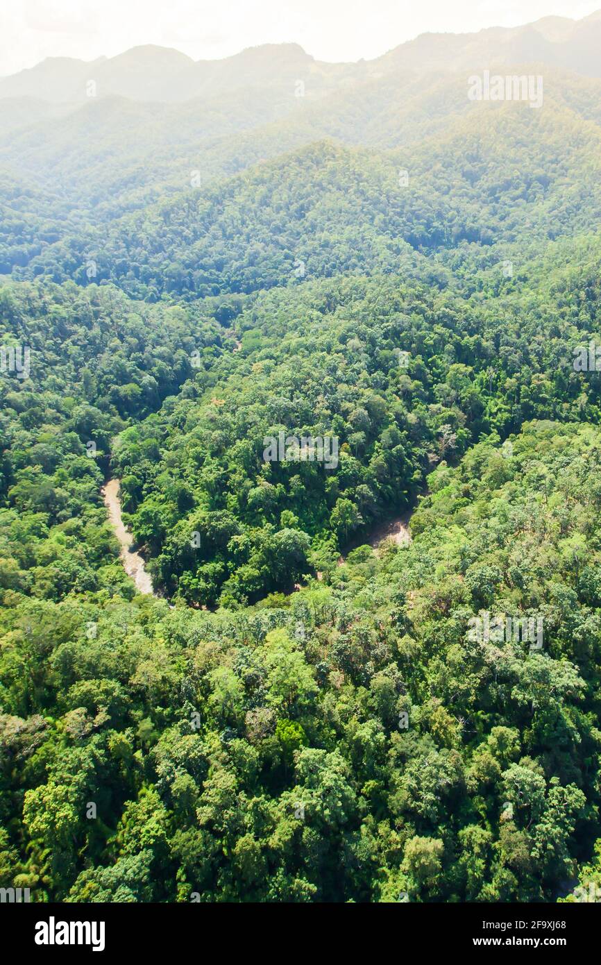 Teak forest hi-res stock photography and images - Alamy