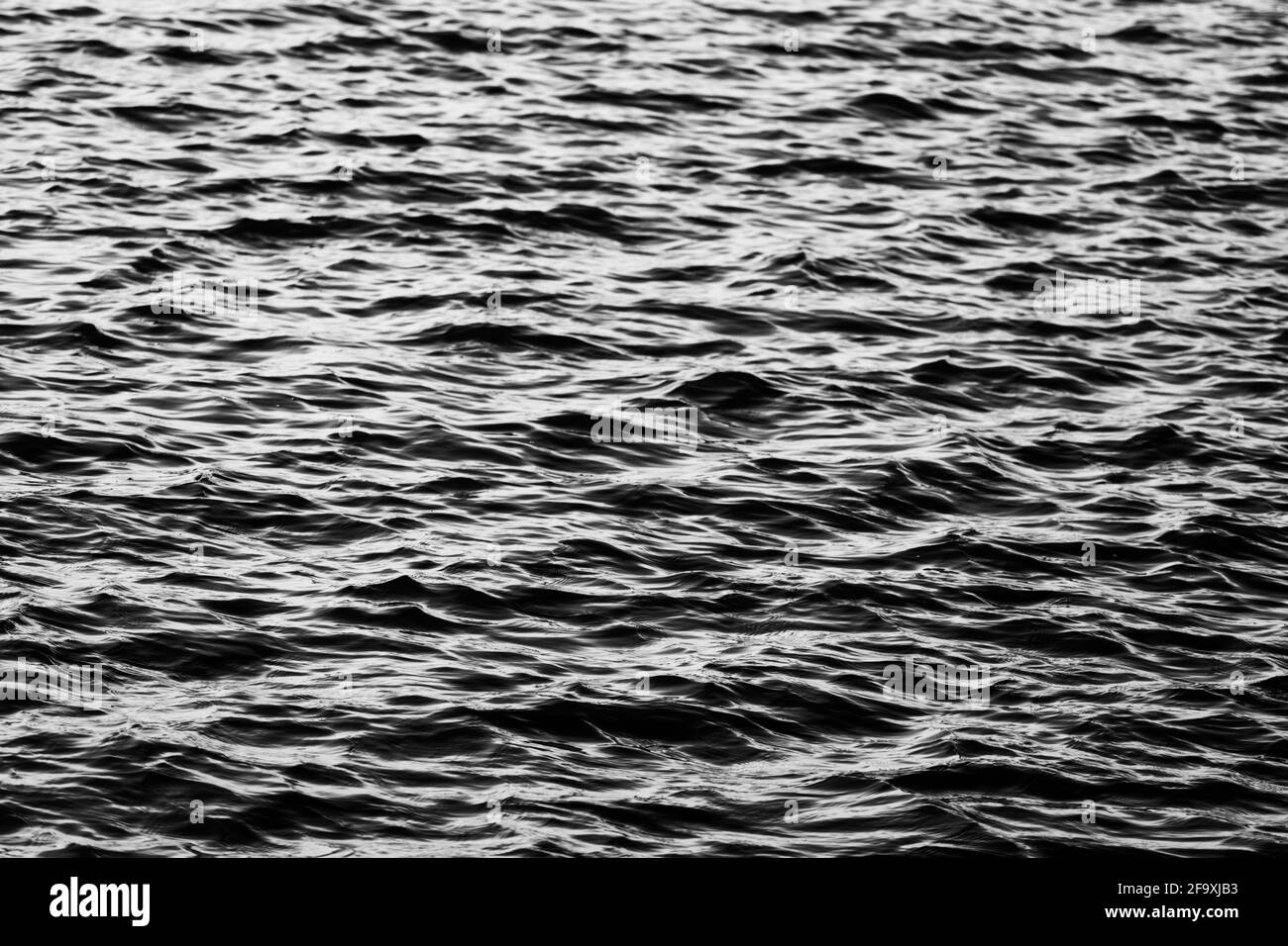 Water Ripple Texture Black And White