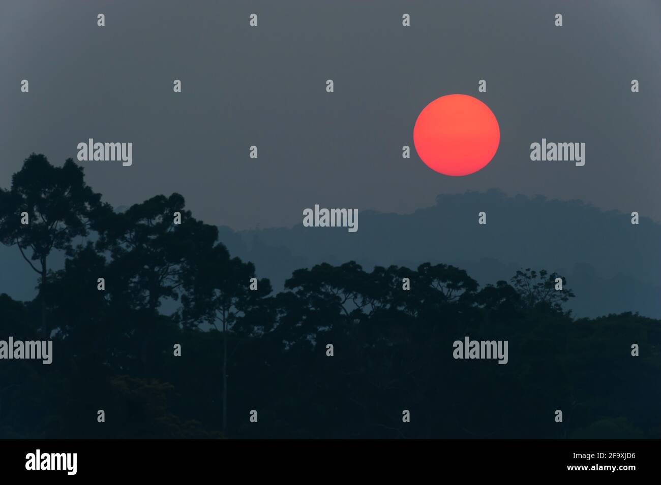 Full textures hi-res stock photography and images - Alamy