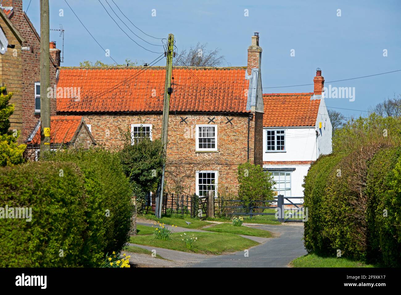 Houses in the village of Fangfoss, East Yorkshire, England UK Stock ...