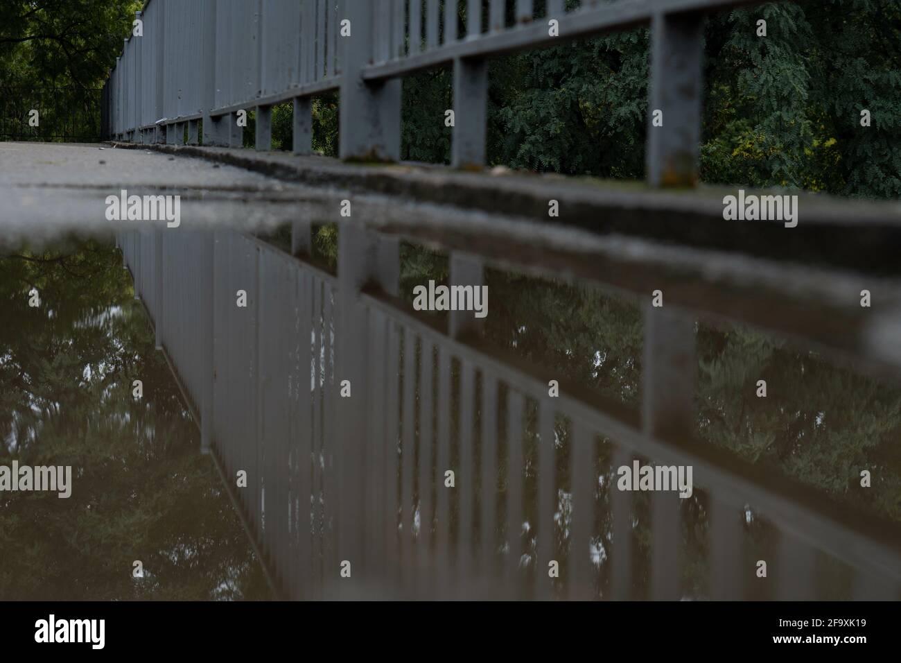 Closeup of the reflection of the metallic fence on the small puddle ...