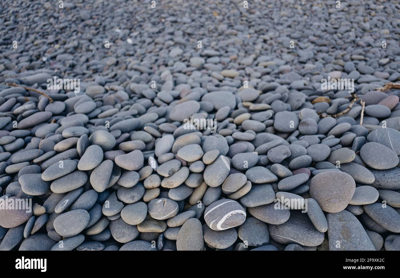 pebbles washed up on the beach near Westward Ho!, Devon, UK Stock Photo ...