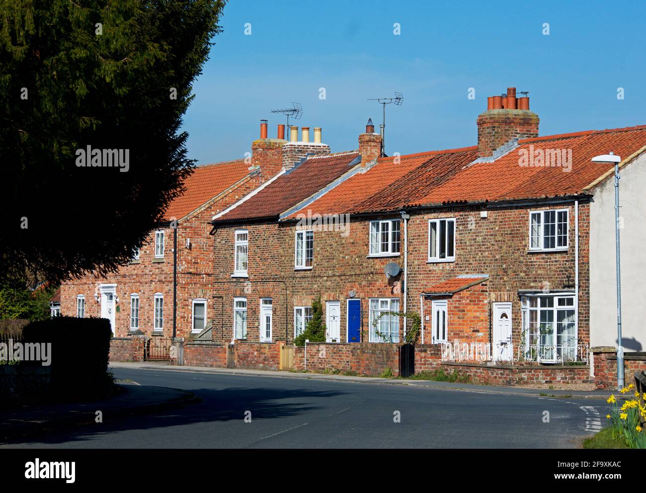 Street of traditional terraced houses in the village of Riccall, North ...