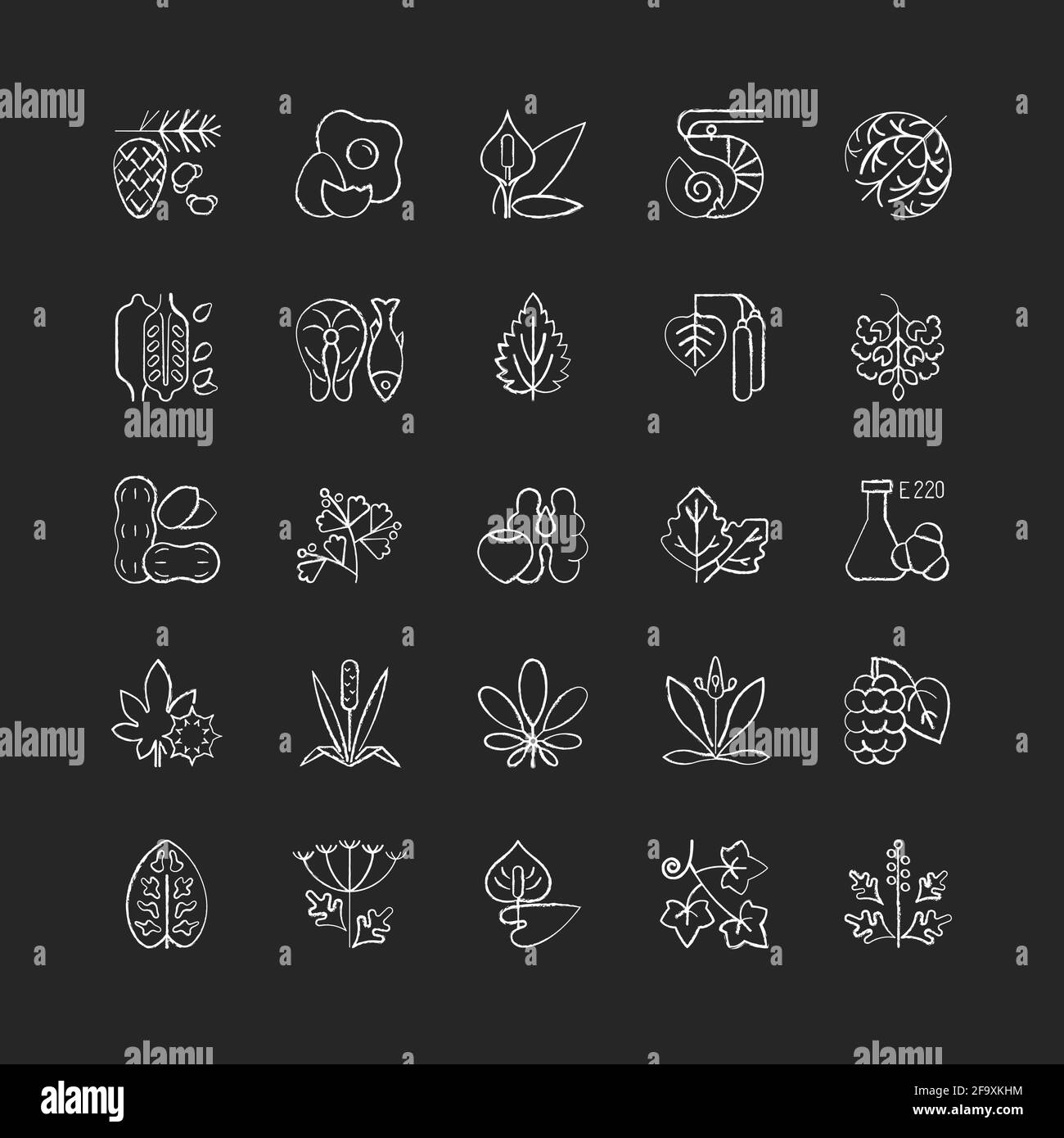 Allergy cause chalk white icons set on black background Stock Vector ...
