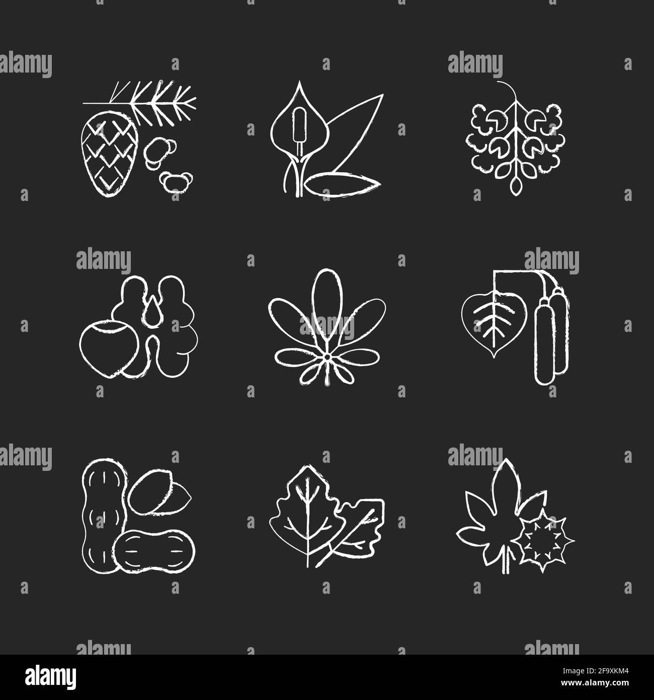 Allergens and allergy causes chalk white icons set on black background ...
