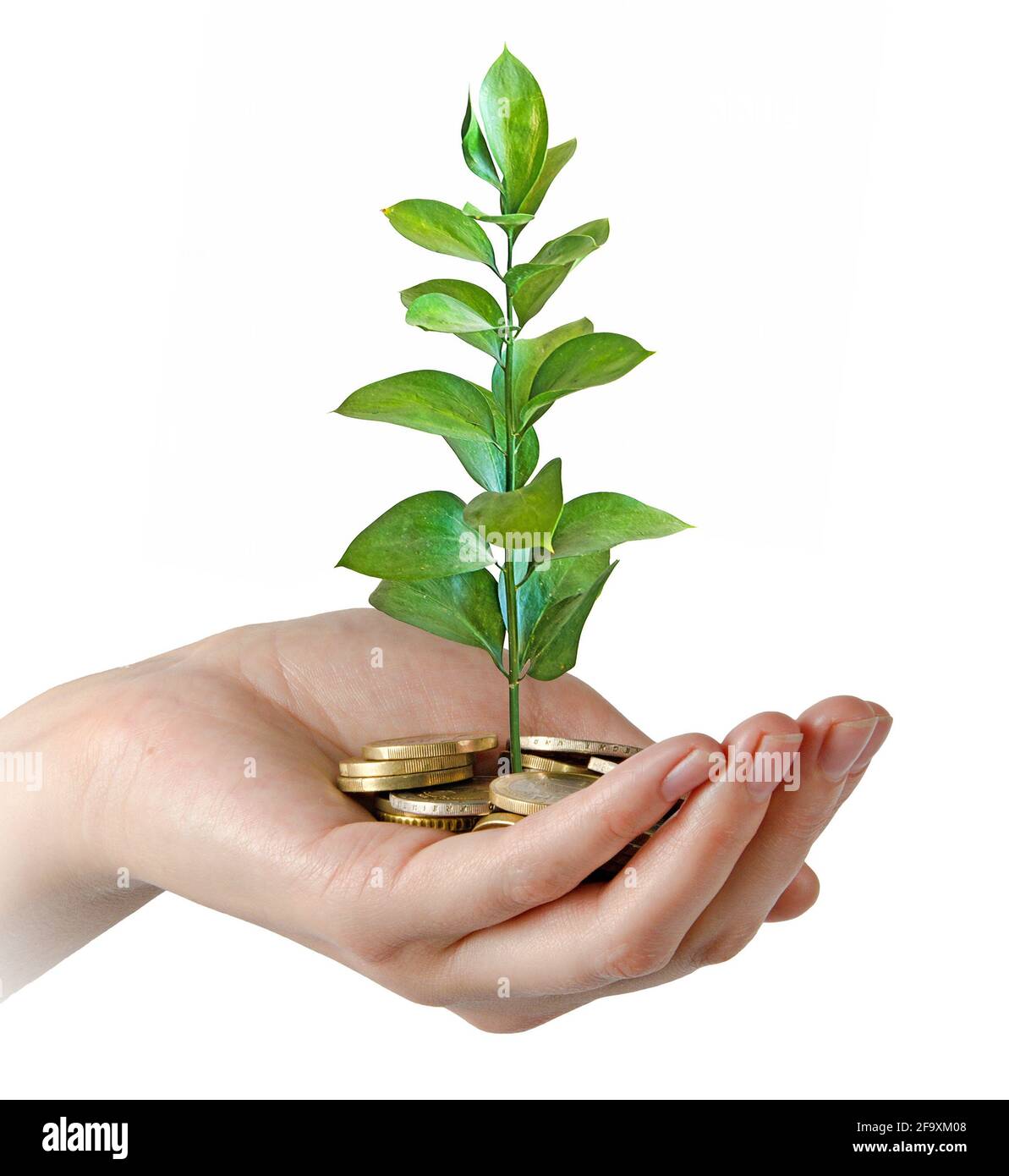 Female footprint Cut Out Stock Images & Pictures - Alamy