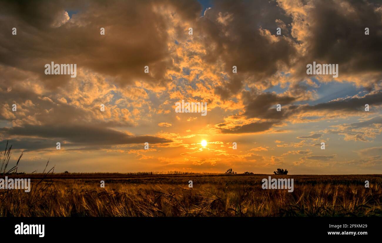 Wild sun sunset sunrise sunlight hi-res stock photography and images ...