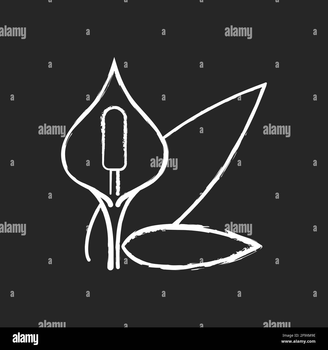 White lilly black background Stock Vector Images - Alamy