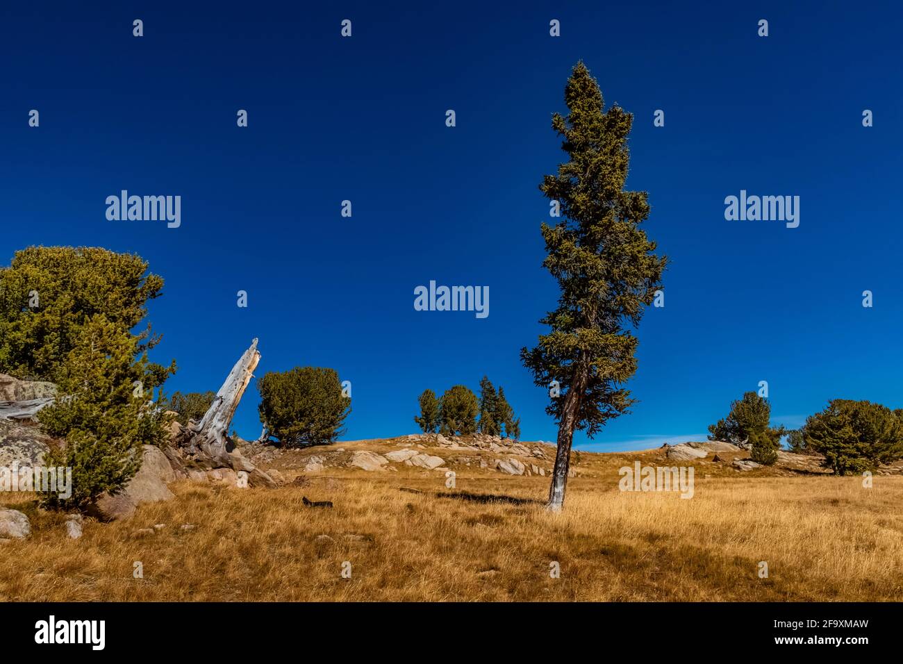 Beartooth plateau hi-res stock photography and images - Alamy