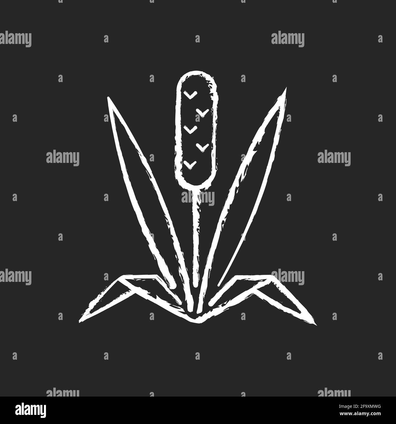 Timothy grass chalk white icon on black background Stock Vector Image ...