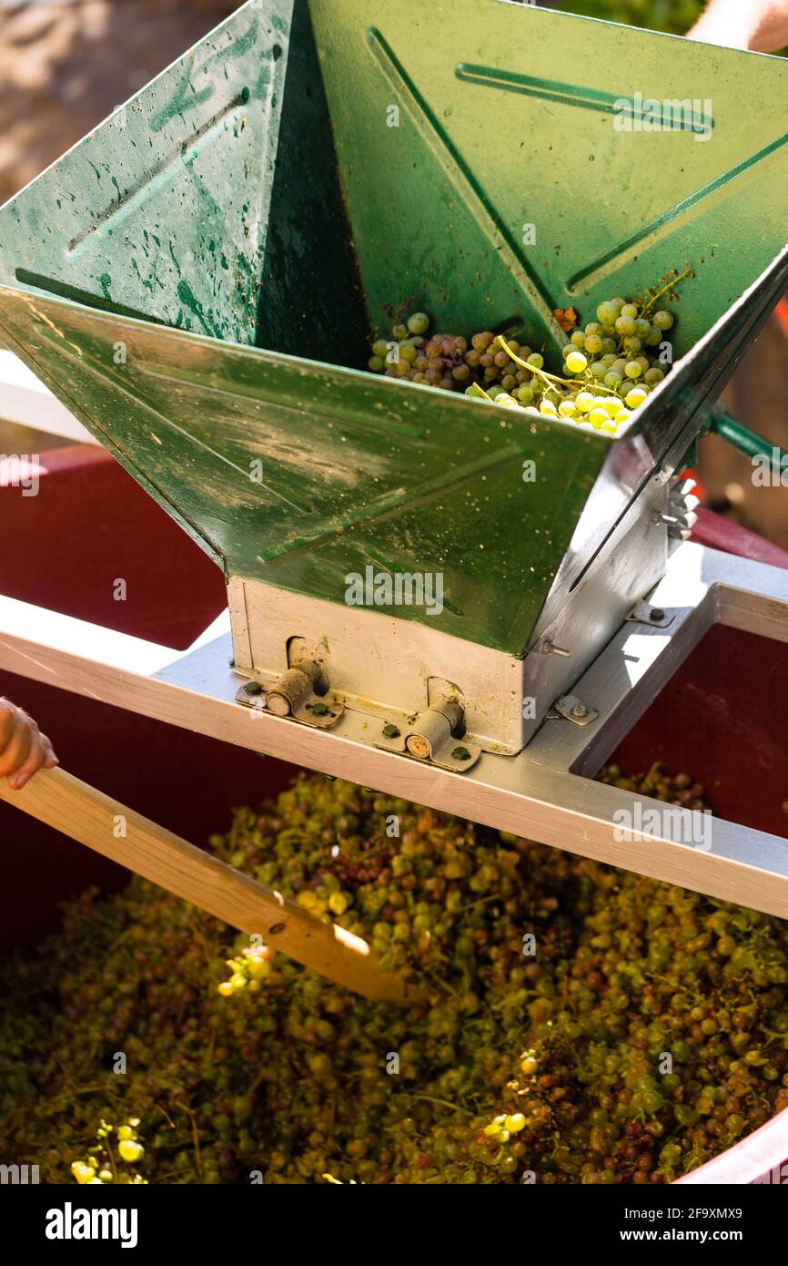 Grape harvesting machine hi-res stock photography and images - Alamy
