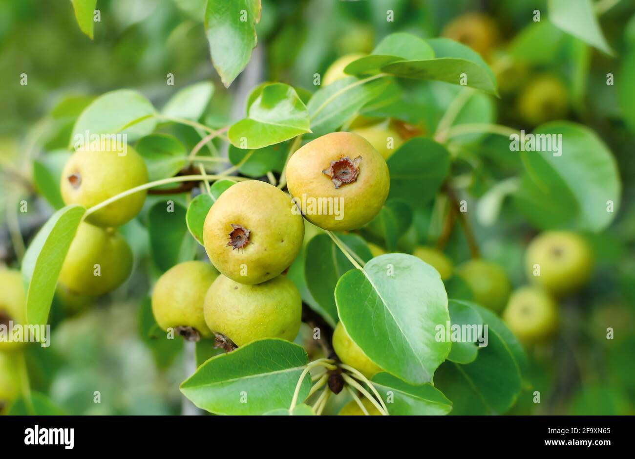 Focus areas hi-res stock photography and images - Alamy