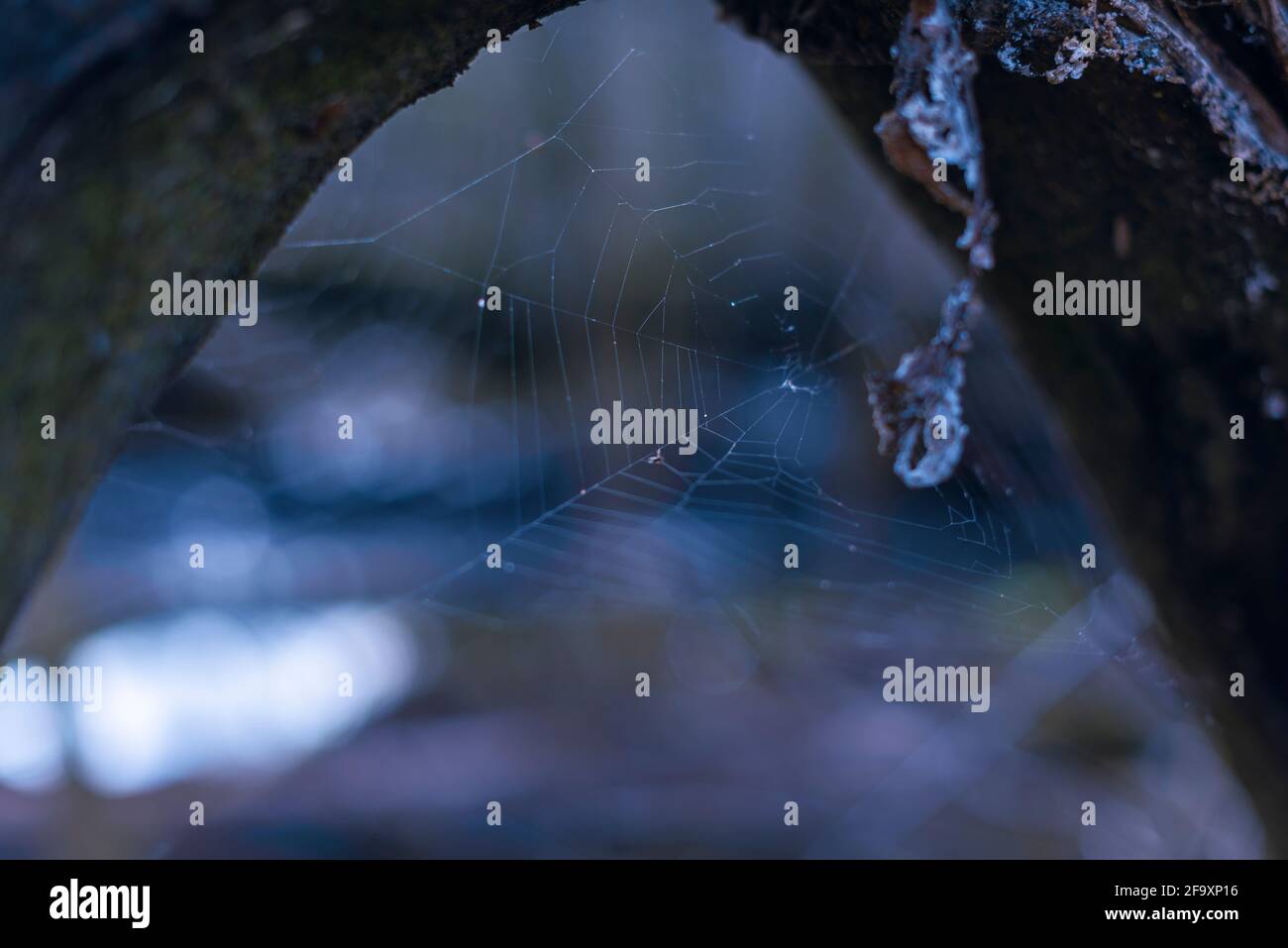 Naturally net outdoor hi-res stock photography and images - Alamy