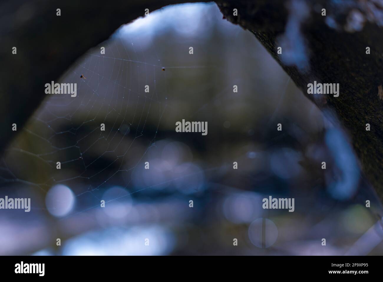 Naturally net outdoor hi-res stock photography and images - Alamy
