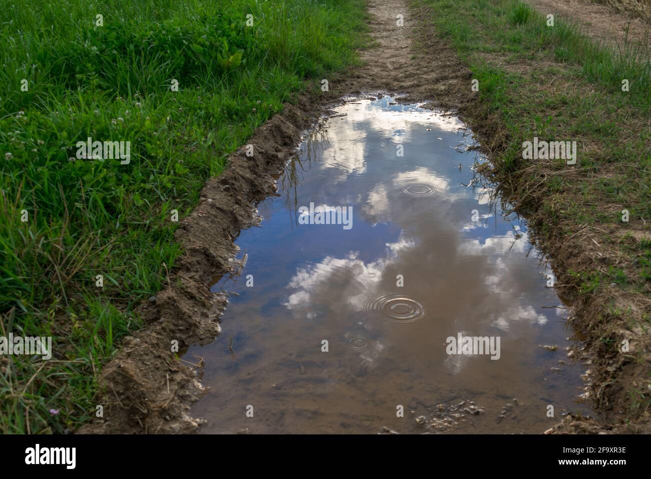 Rain drops puddle hi-res stock photography and images - Alamy