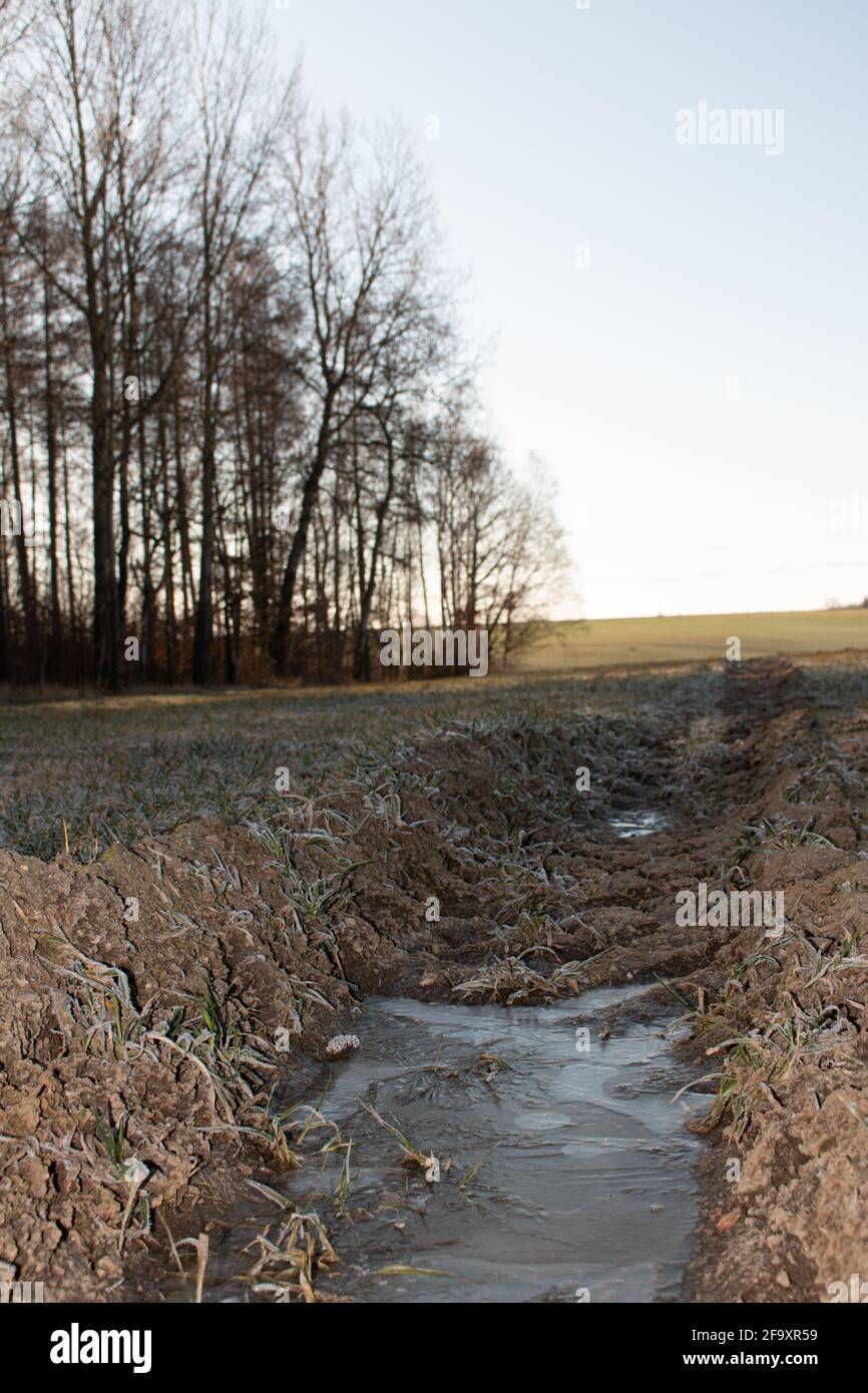 Vertical shot of a marsh in a deep hole on a field Stock Photo - Alamy