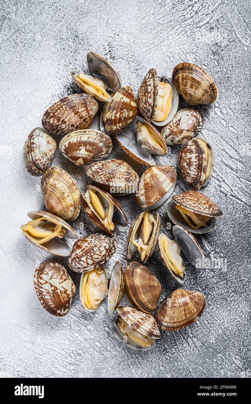 Fresh Steamed Clams on the kitchen table. White background. Top view ...