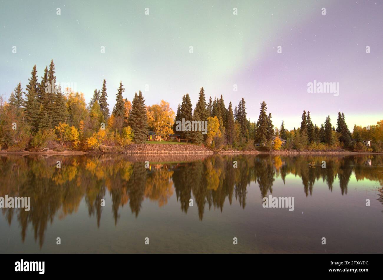 Northern Lights, Lake showing reflections on water - Alaska. Pine trees ...