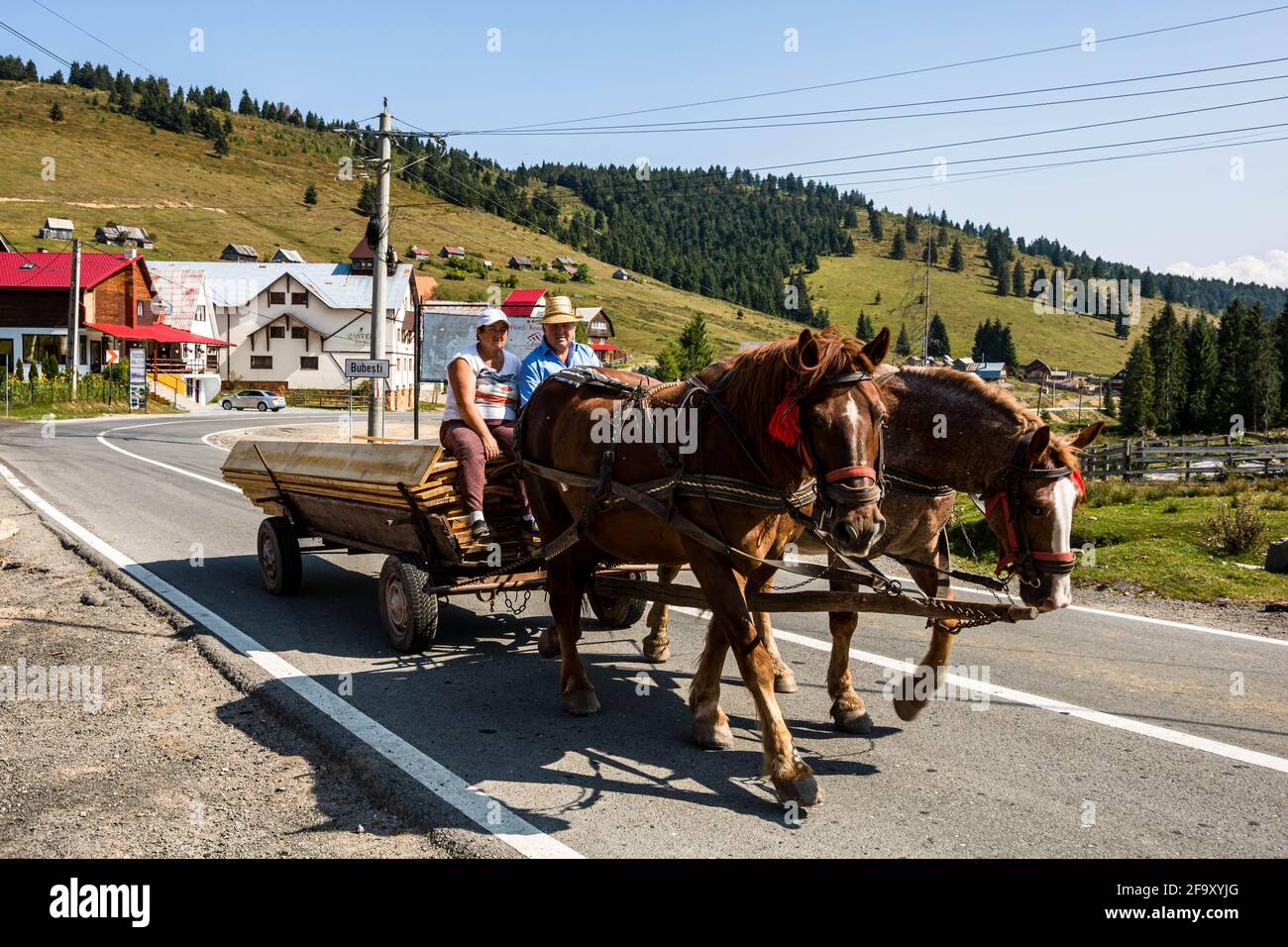 Horse carriage with wooden planks on mountain road in Bihor, Romania ...