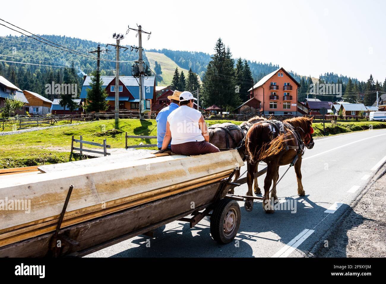Horse carriage with wooden planks on mountain road in Bihor, Romania ...