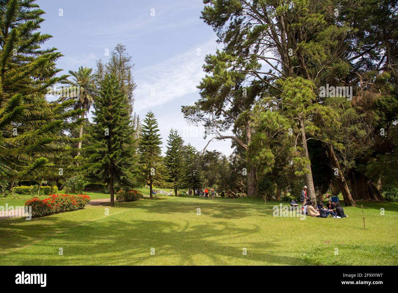 Sri lanka hakgala garden hi-res stock photography and images - Alamy