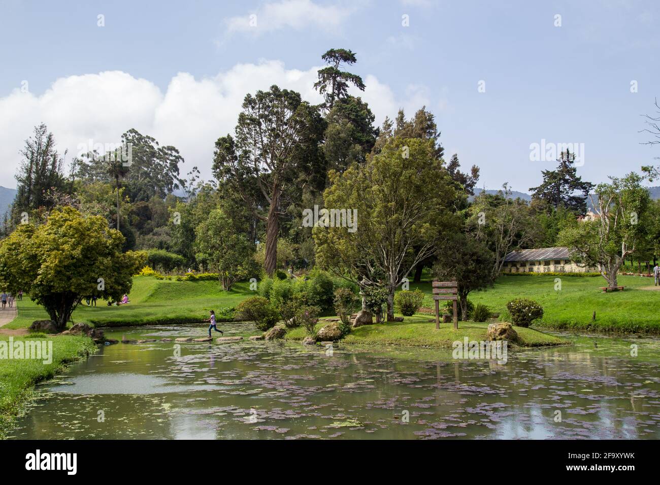 Sri lanka hakgala garden hi-res stock photography and images - Alamy