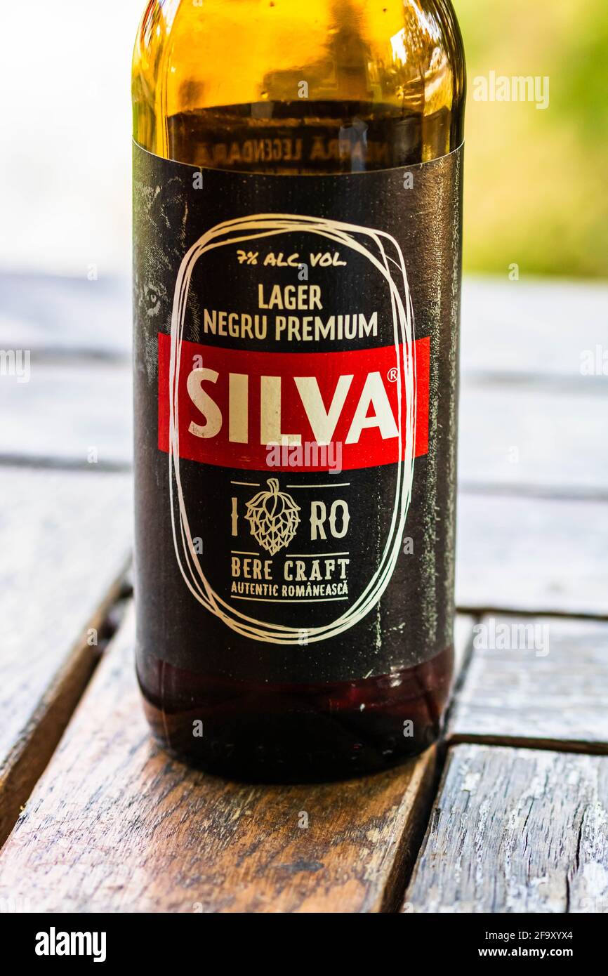 Silva Dark beer (Latin name for forest) beer glass bottle details ...