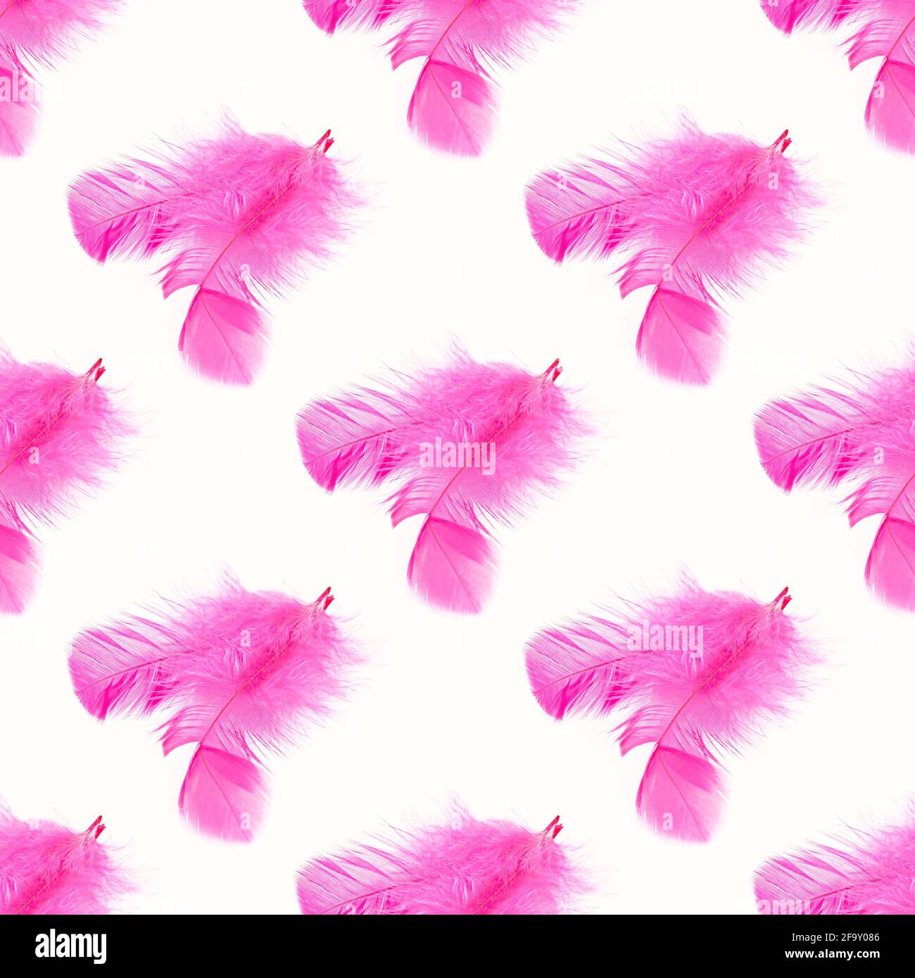 Bright pink bird feather repeat seamless pattern on light background ...