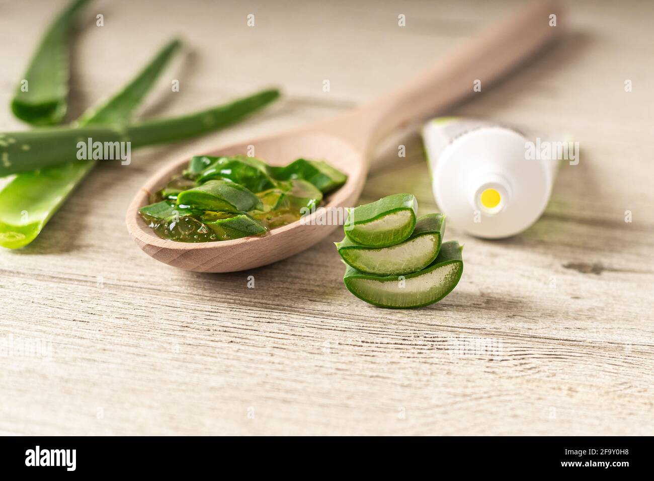 Fresh aloe vera plant, stem slices and gel Stock Photo - Alamy