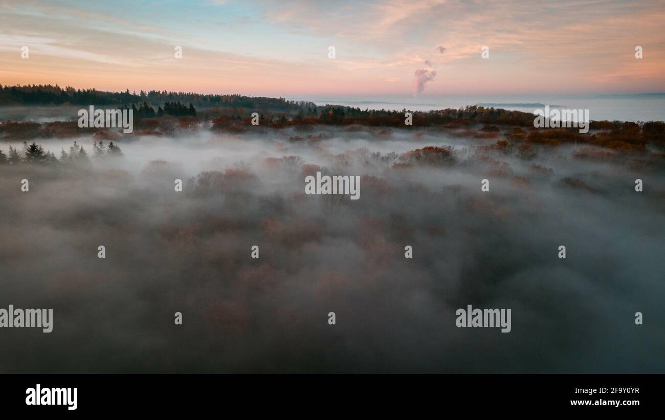 Aerial view of a rosy sunset in woodland covered in fog Stock Photo - Alamy