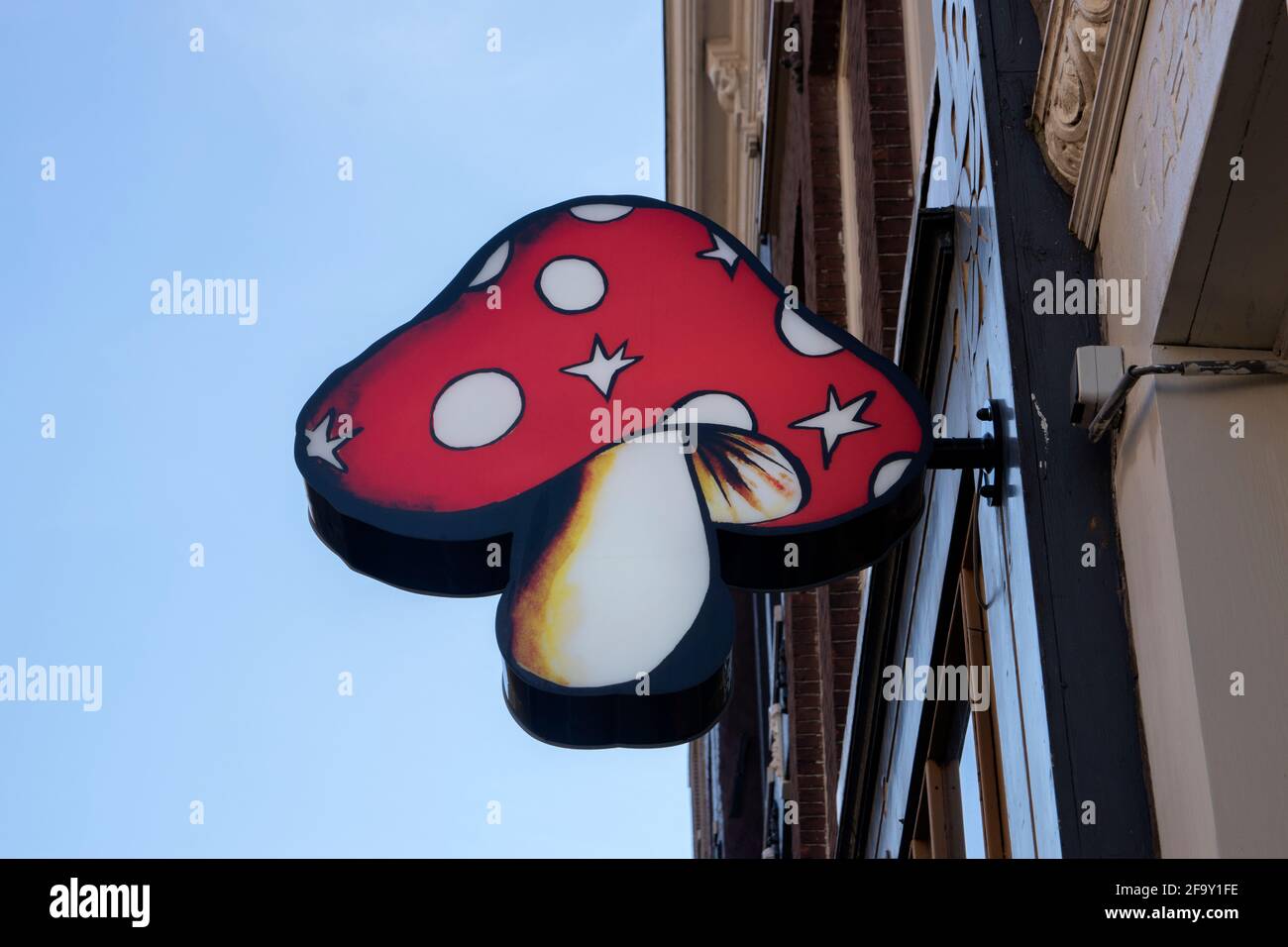 General Mushroom Sign At Amsterdam The Netherlands 25-3-2020 Stock ...