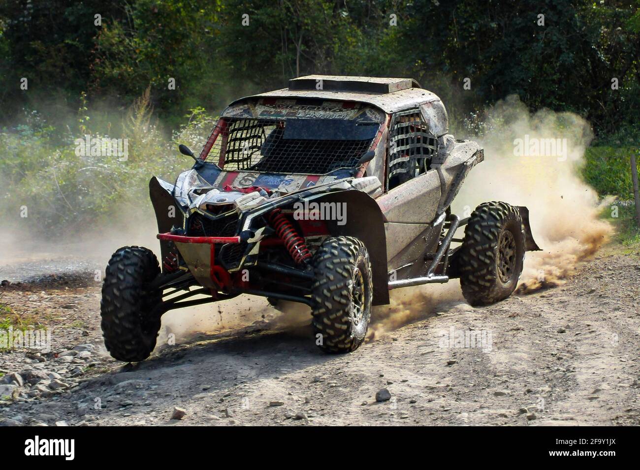 Italian racing car driver hi-res stock photography and images - Alamy
