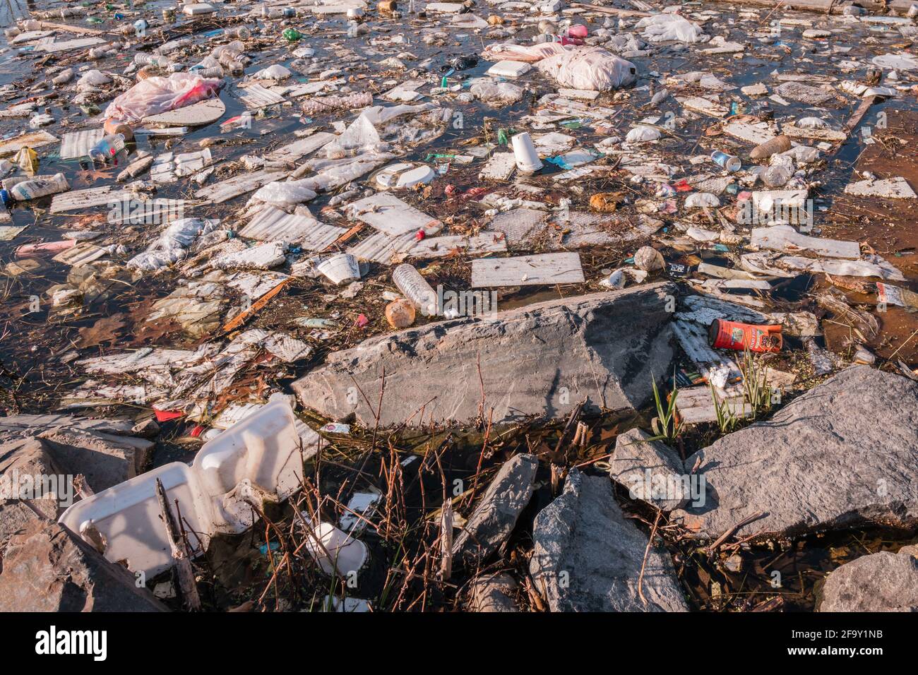 Garbage and trash collects in urban river causing a back up of ...