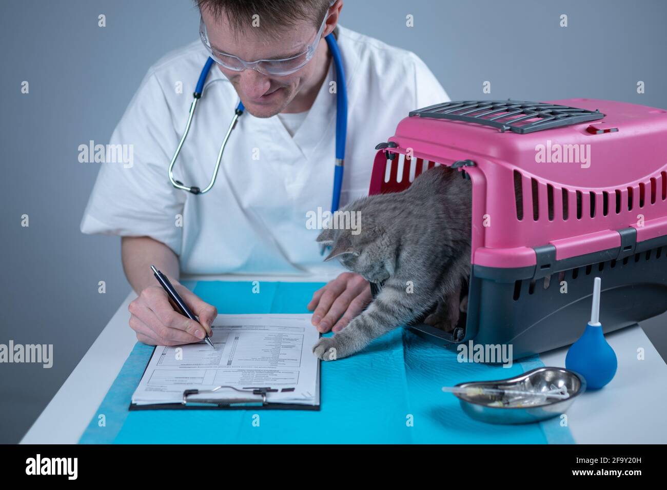 Cat in pet carrier on examination table of veterinarian clinic with pet ...