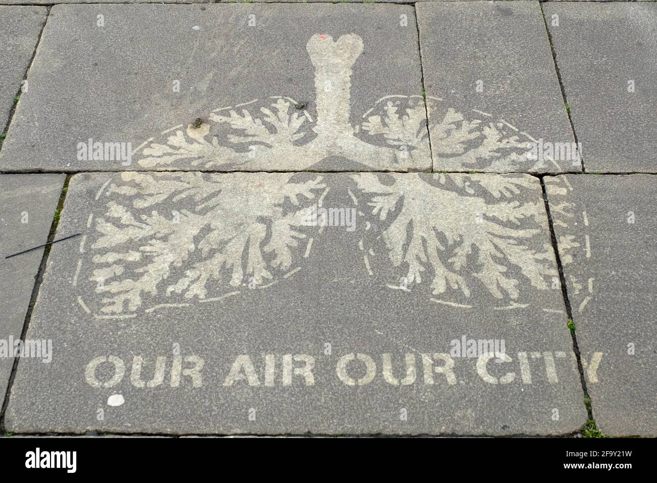 Reverse graffiti from the our air our city campaign. Graffiti Lungs ...